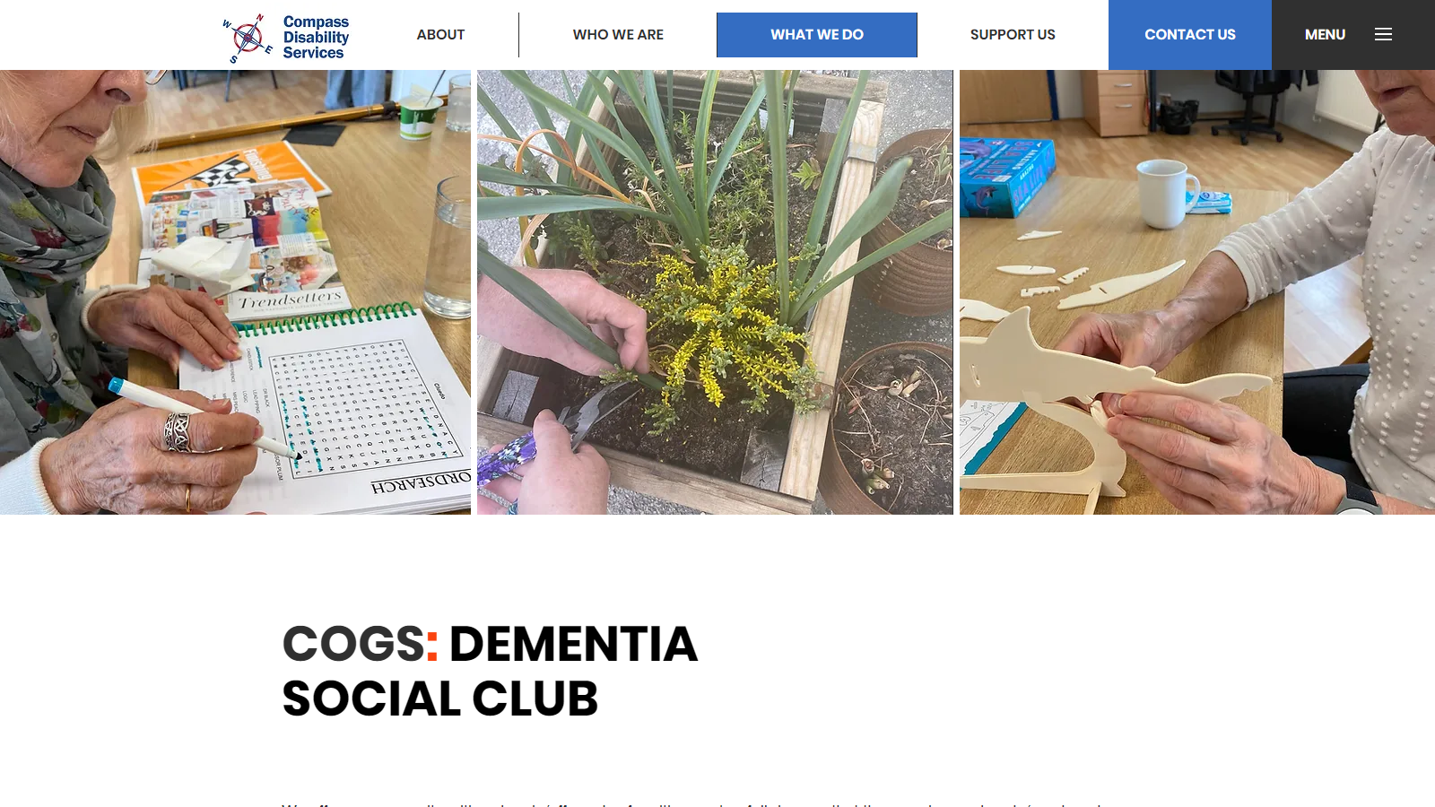 COGS – Social Club - Somerset Dementia Wellbeing Service